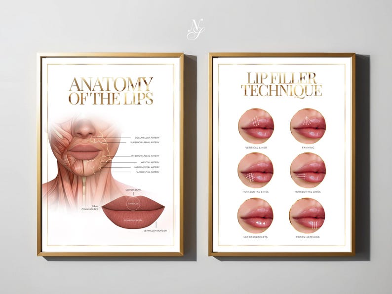 Canva | Poster Template | Facial Muscles | Botox & Filler Injector ...
