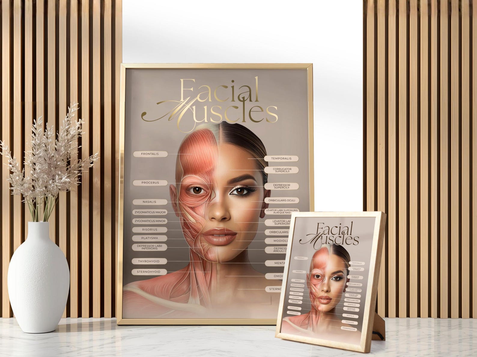 Canva | Poster Template | Facial Muscles Art | Botox & Filler Injector ...
