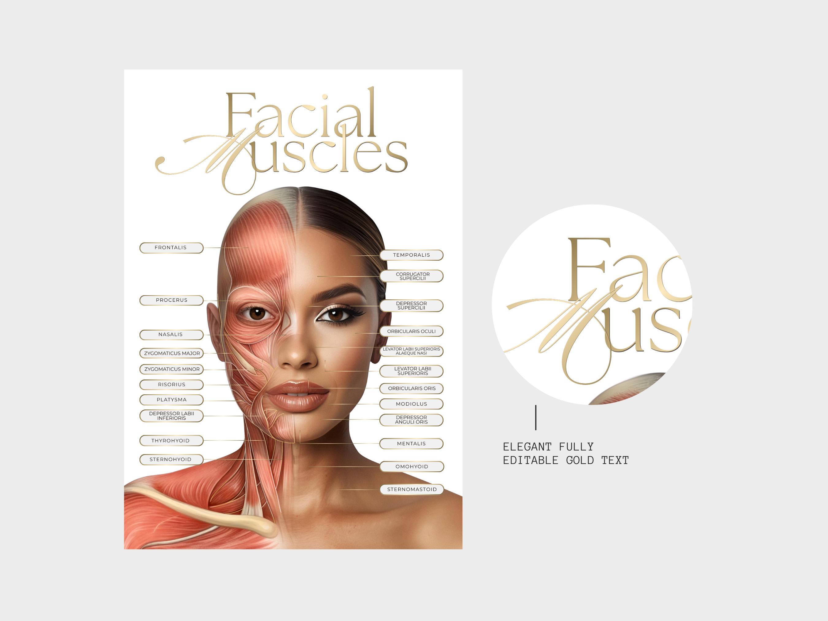 Canva | Poster Template | Facial Muscles Art | Botox & Filler Injector ...
