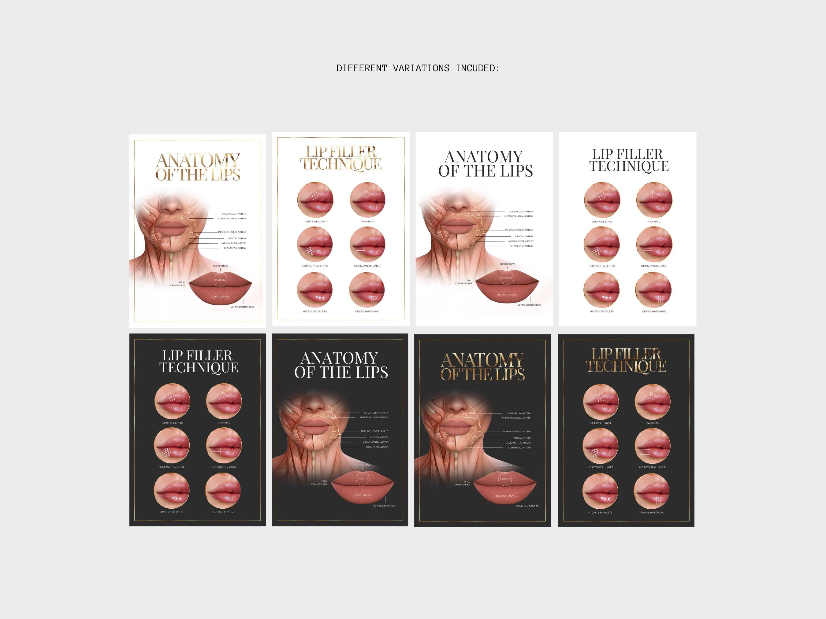 Canva | Poster Template | Facial Muscles | Botox & Filler Injector ...