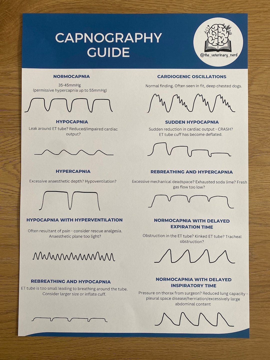 A3 Capnography Poster - Etsy