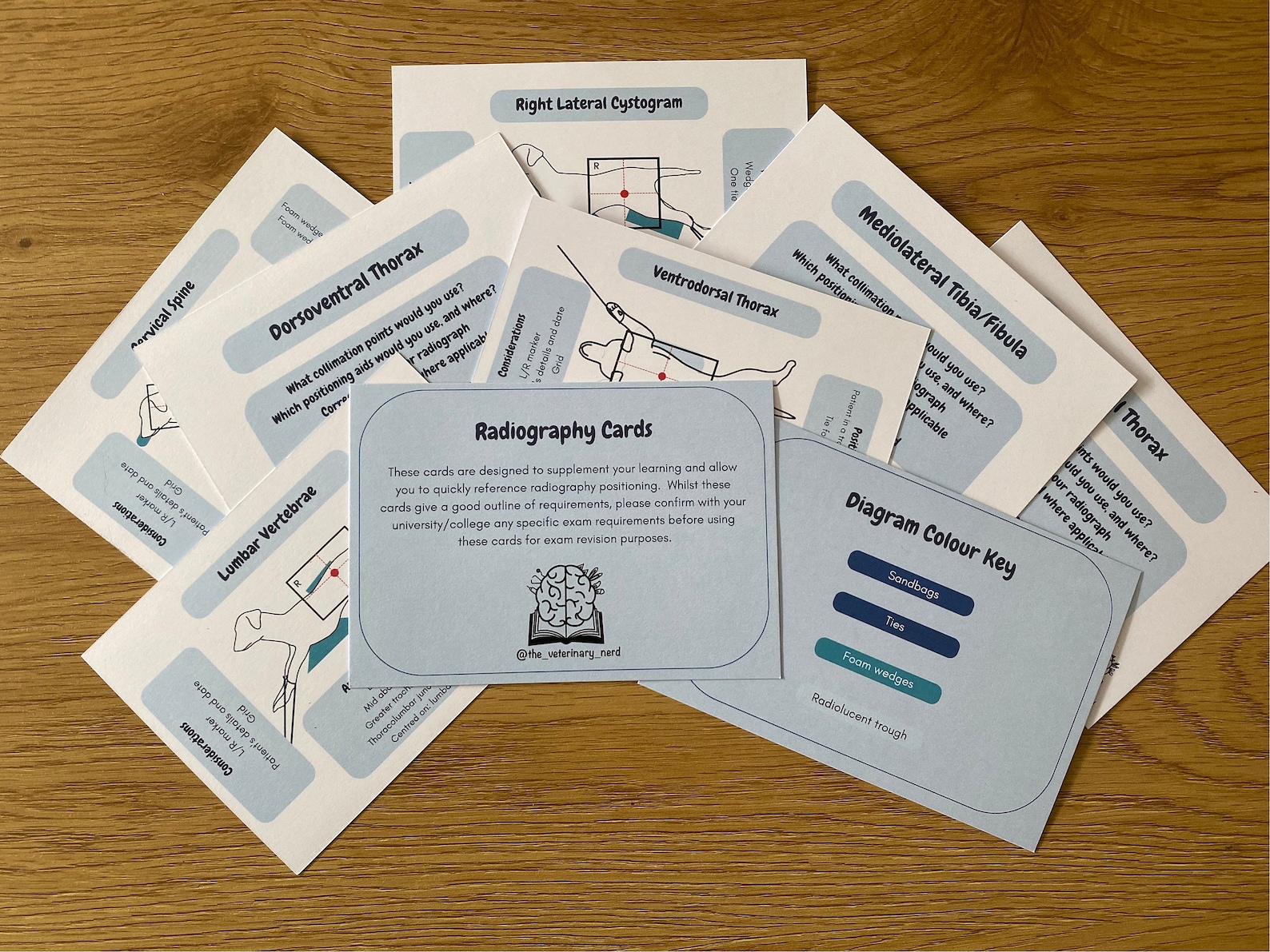 Vet Nurse Radiography OCSE Revision Cards - Etsy