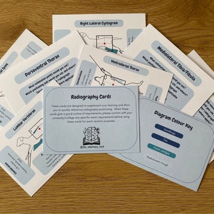 Vet Nurse Radiography OCSE Revision Cards - Etsy
