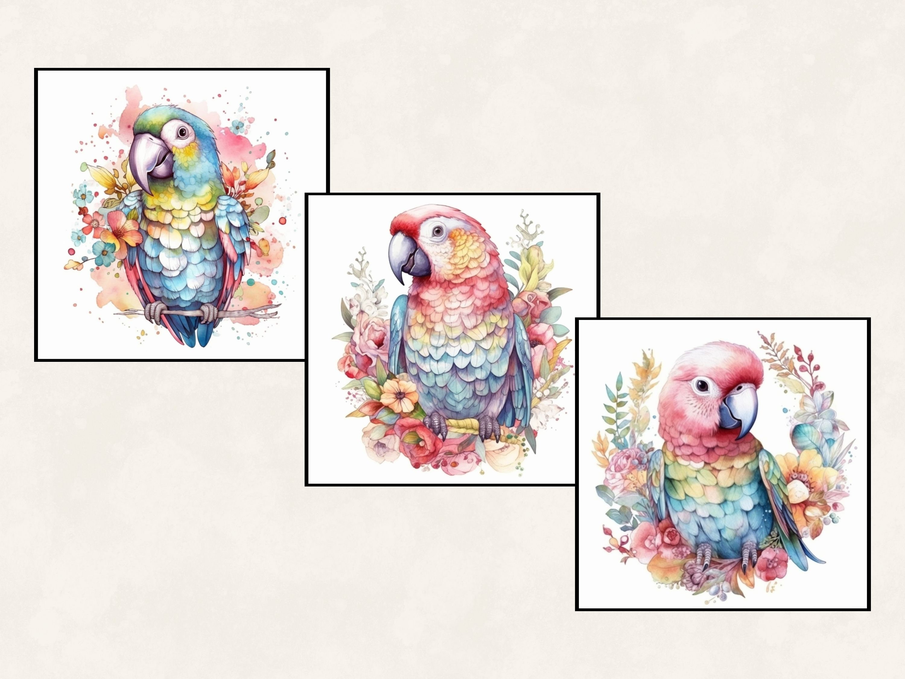 Parrot Clipart Watercolor Illustration Commercial Use Digital - Etsy