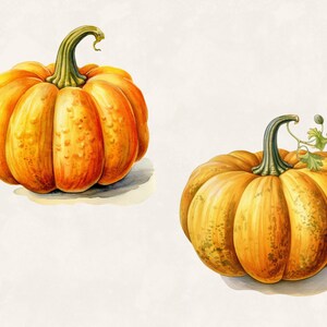 Watercolor Fall Pumpkins Clipart: Commercial Use Digital Bundle ...