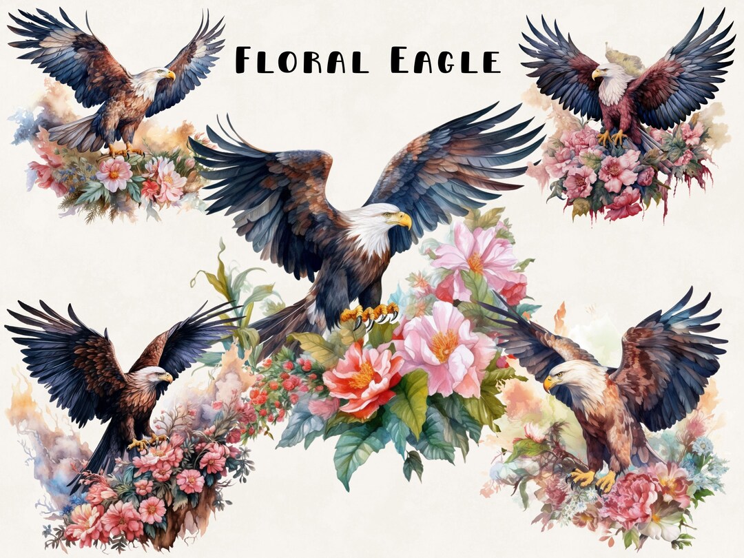 Eagle and Flowers Clipart Bundle Commercial Use Watercolor Eagle in ...