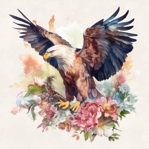 Eagle and Flowers Clipart Bundle Commercial Use Watercolor Eagle in ...