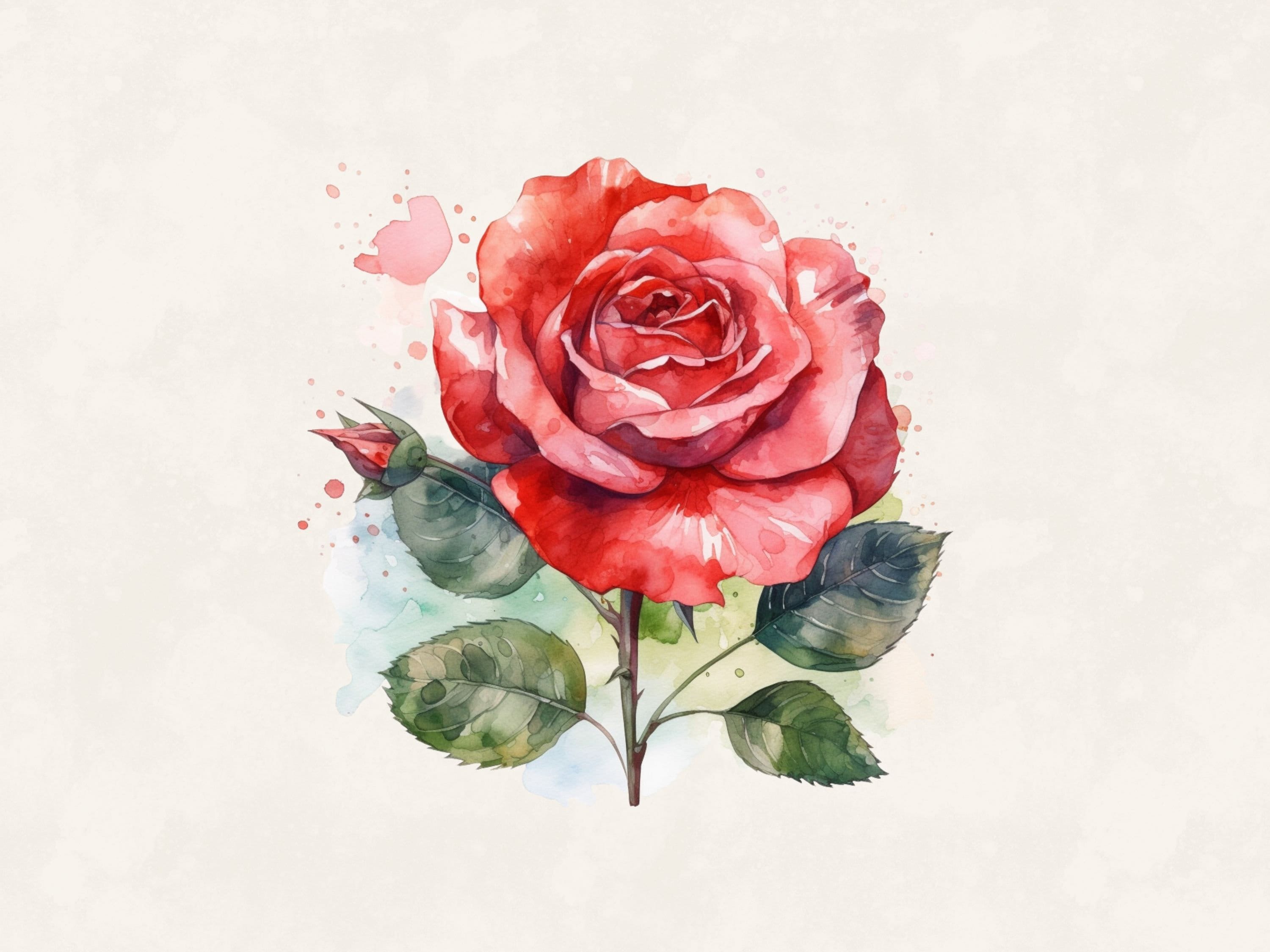 4 Watercolor Rose Clipart Bundle Wedding Invitations - Etsy