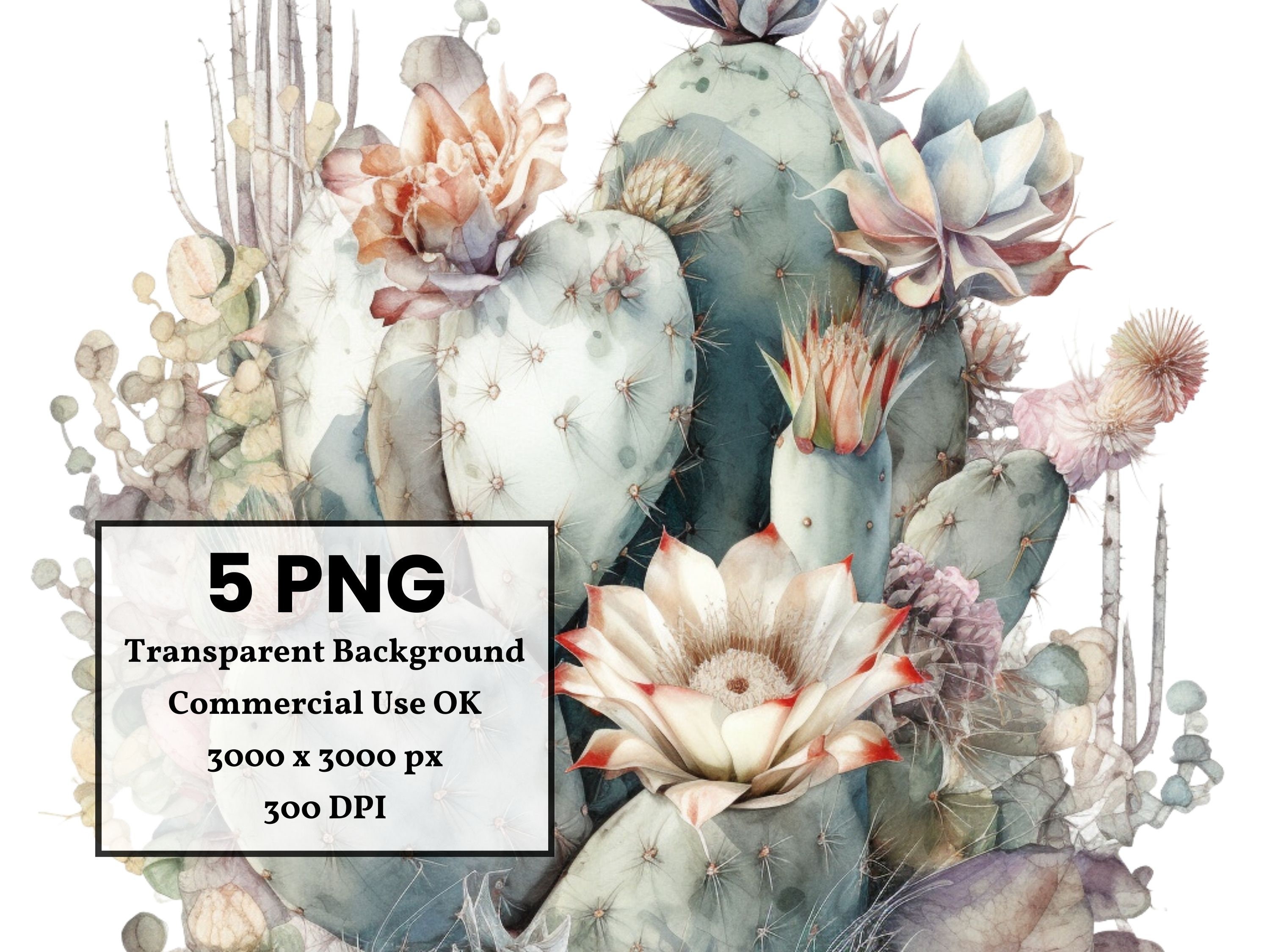 5 Cactus Clipart Bundle Commercial Use Allowed Digital Design - Etsy