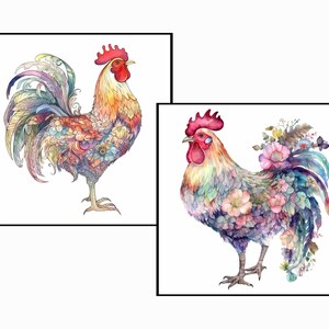 12 Boho Chicken Clipart Watercolor Illustration Commercial Use - Etsy ...