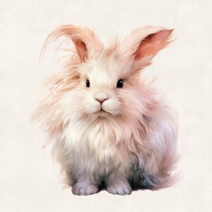 Angora Rabbit Watercolor Clipart: Commercial Use Digital Design ...