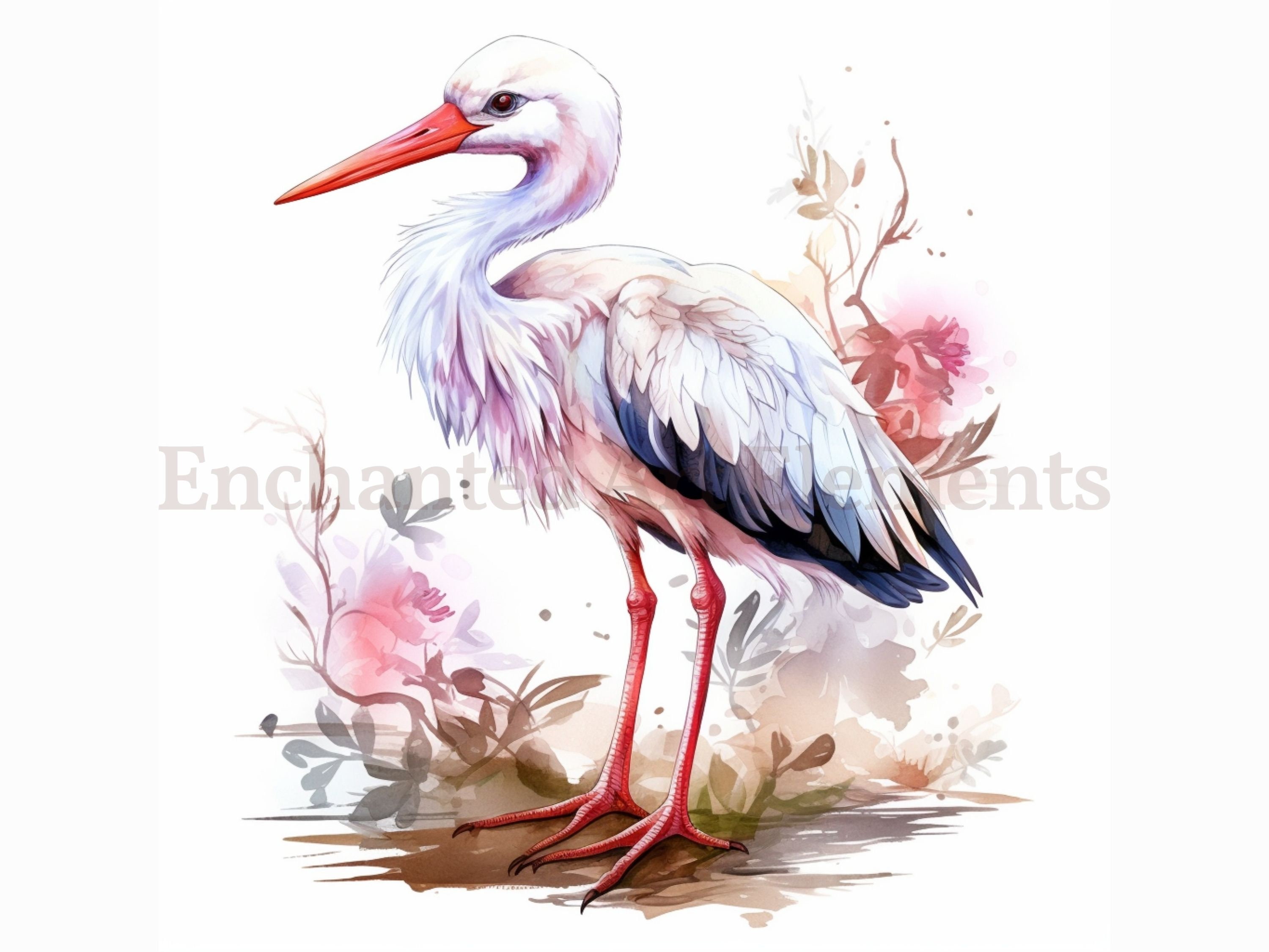 Stork Clipart Watercolor Illustration Animated Animals Nursery - Etsy