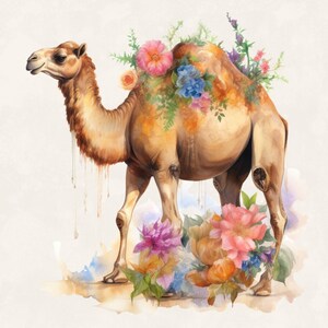Camel and Flowers Clipart Bundle Commercial Use Watercolor Jungle Camel ...
