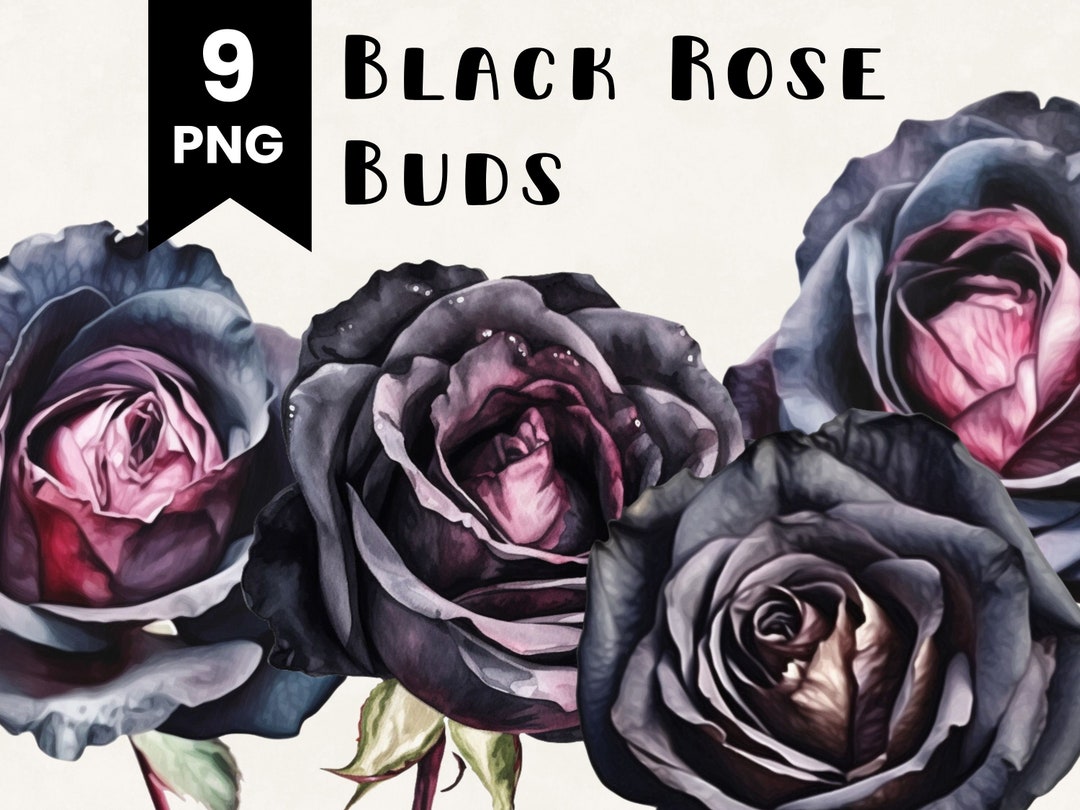 Black Rose Bud Clipart Bundle: Watercolor Flowers (digital Download) - Etsy