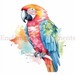 7 Watercolor Animated Macaw Illustration Nursery Art - Etsy