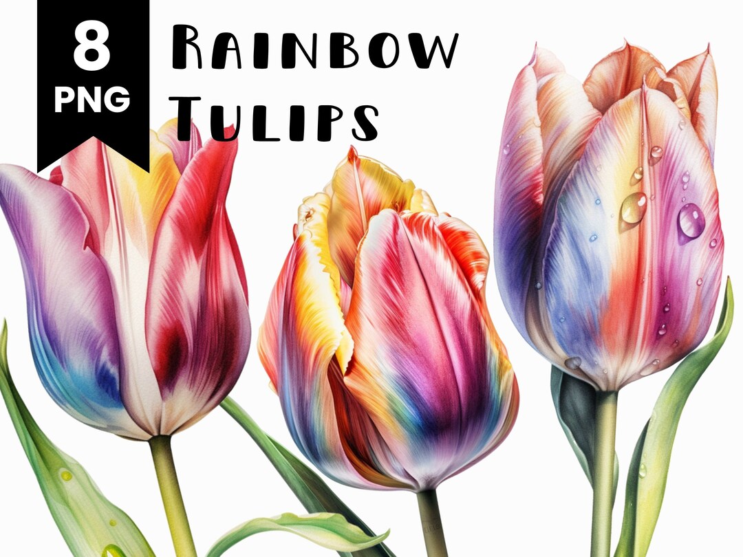 Rainbow Tulips Watercolor Clipart Bundle: Commercial Use (PNG Files) - Etsy
