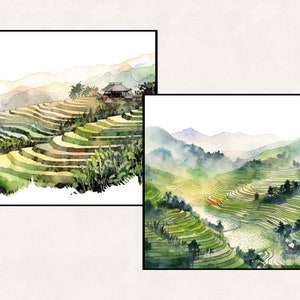 Rice Paddies Clipart Watercolor Commercial Use Digital Design Bundle ...