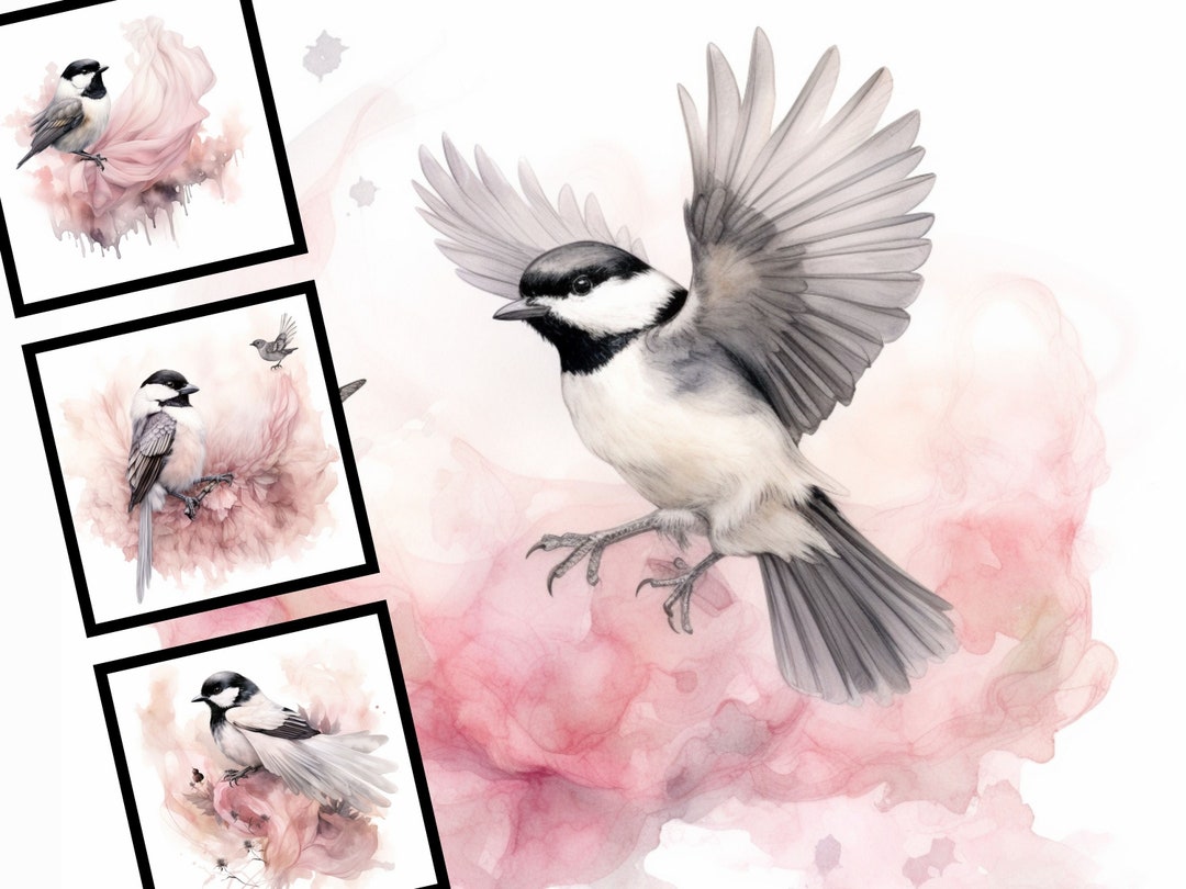 Black and White Bird Clipart Bundle Watercolor Commercial Use Digital ...