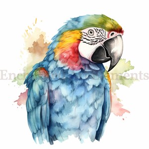 7 Watercolor Animated Macaw Illustration Nursery Art Commercial Use ...