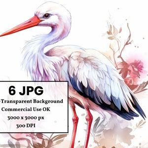 Stork Clipart Watercolor Illustration Animated Animals Nursery ...