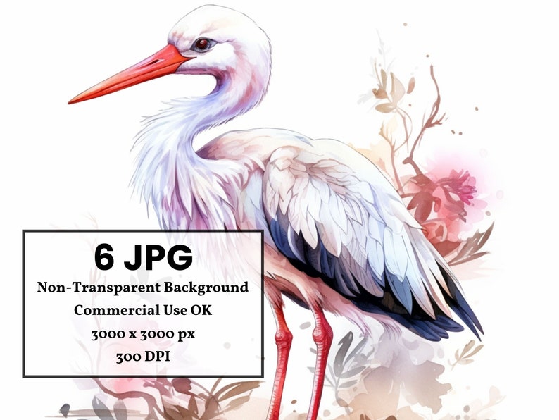 Stork Clipart Watercolor Illustration Animated Animals Nursery - Etsy