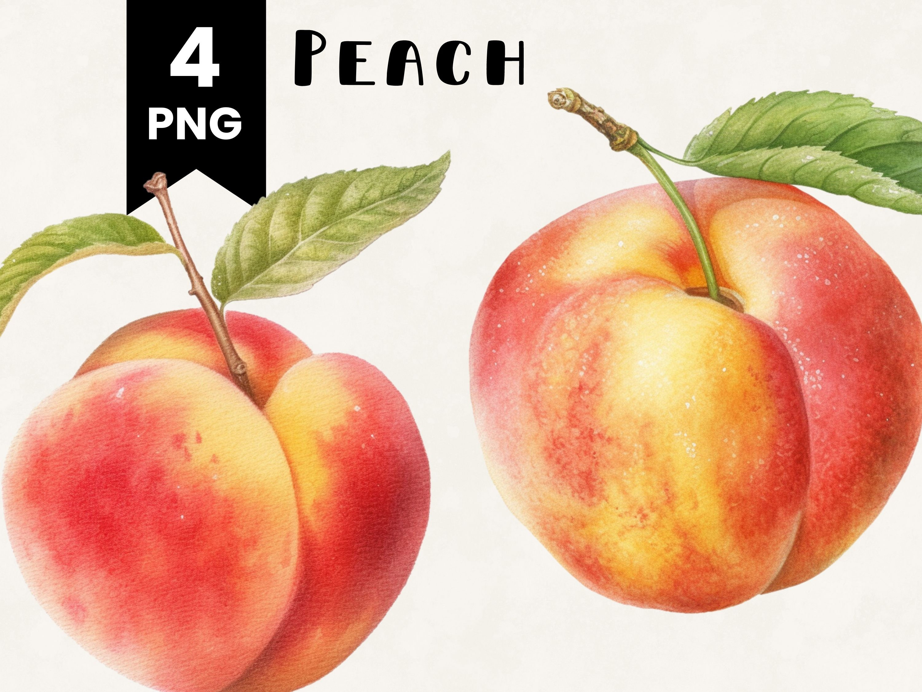 Peach Clipart Bundle Commercial Use Watercolor Peaches Digital - Etsy