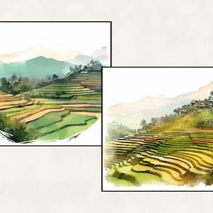Rice Paddies Clipart Watercolor Commercial Use Digital Design Bundle ...