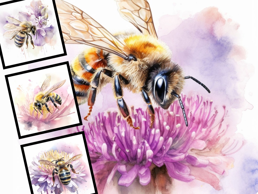 Watercolor Bee Clipart Bundle: Floral Bumble Bee Designs (digital ...