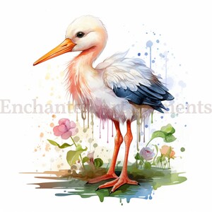 Stork Clipart Watercolor Illustration Animated Animals Nursery ...