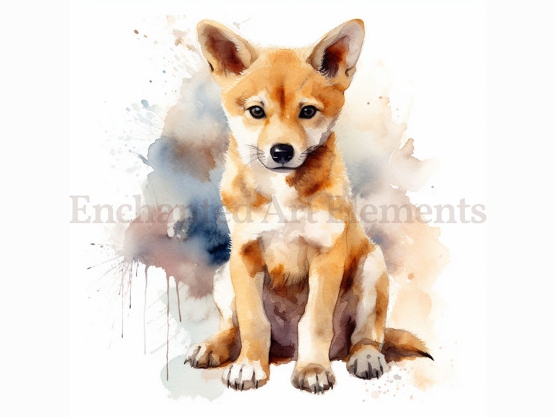 Watercolor Baby Dingo Illustration Art - Nursery Decor (digital Design ...