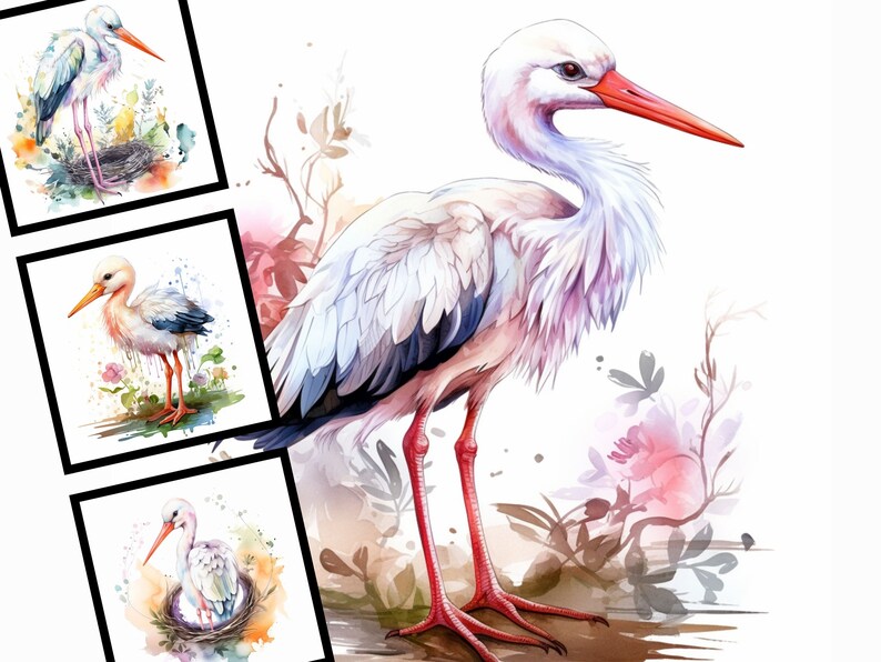 Stork Clipart Watercolor Illustration Animated Animals Nursery - Etsy