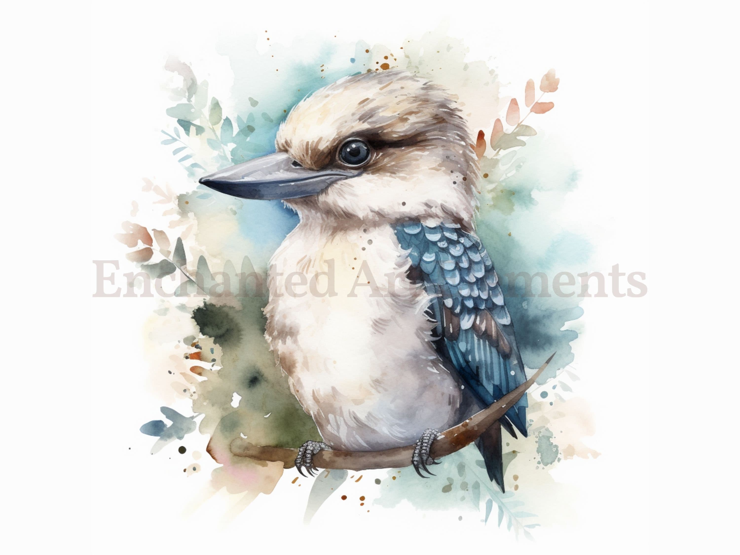 6 Watercolor Baby Kookaburra Bird Illustration Nursery Art - Etsy