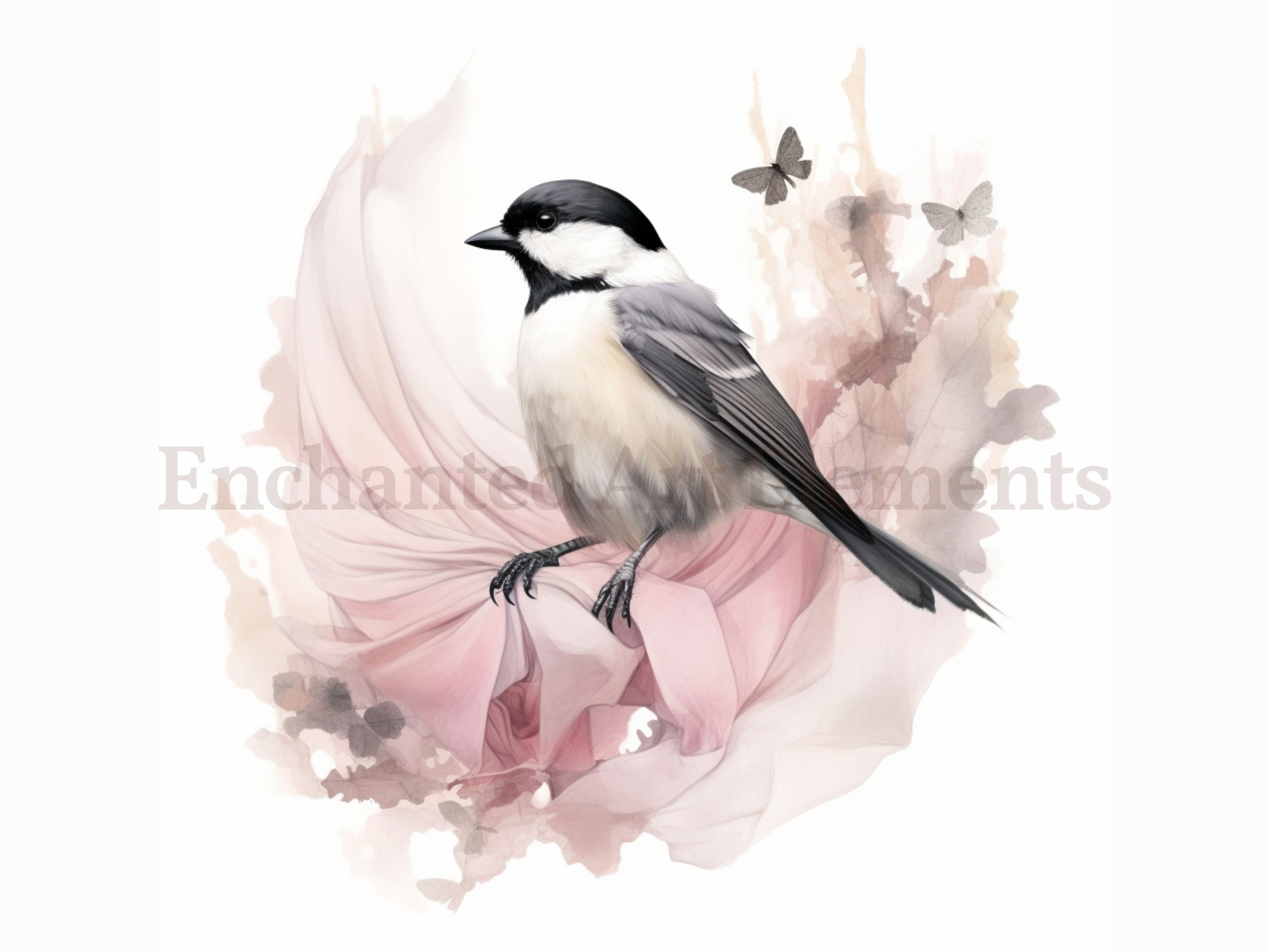 Black and White Bird Clipart Bundle Watercolor Commercial Use - Etsy