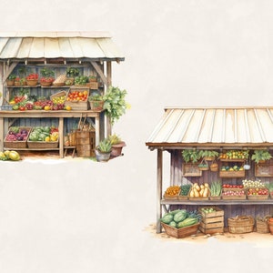Farm Stand Clipart: Watercolor Illustration Bundle (digital Download ...