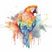 7 Watercolor Animated Macaw Illustration Nursery Art - Etsy