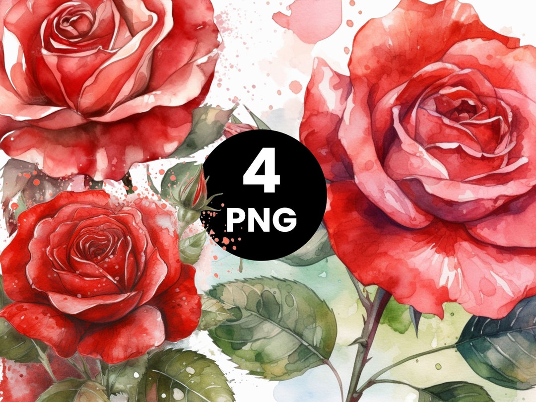 4 Watercolor Rose Clipart Bundle Wedding Invitations Commercial Use ...