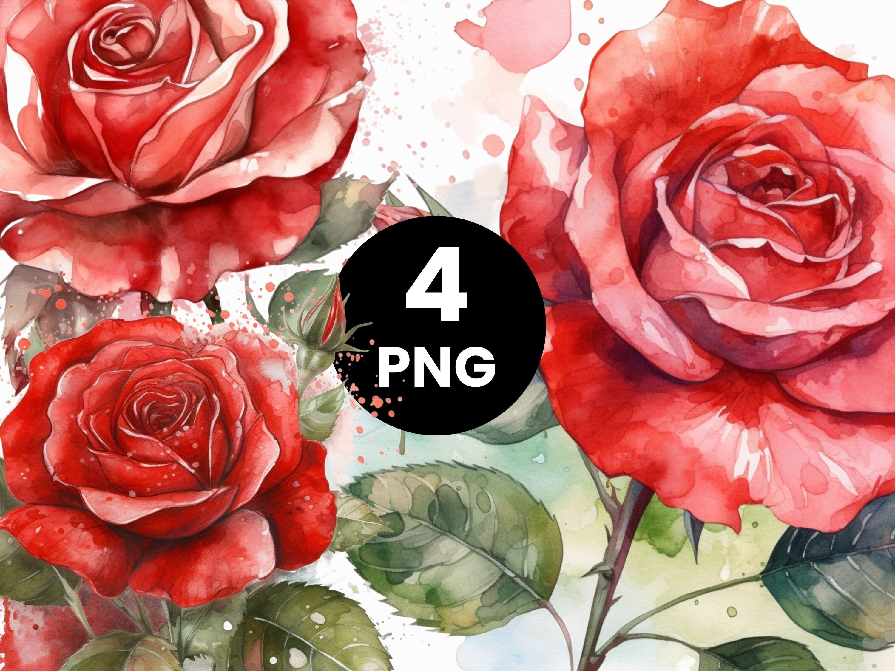 4 Watercolor Rose Clipart Bundle Wedding Invitations - Etsy