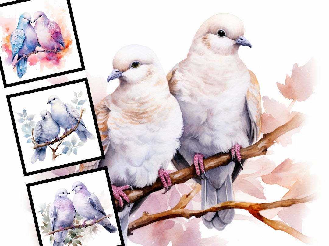 Doves Clipart Watercolor Illustration Valentines Day Clipart Commercial ...