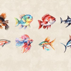 Watercolor Fish Clipart: Colorful Mega Bundle (54 PNG Files) - Etsy