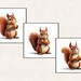 Squirrel With Acorn Clipart Watercolor Animated Animal Commercial Use ...
