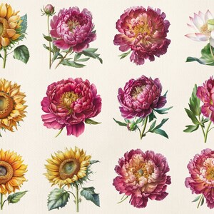 Floral Clipart Megabundle Commercial Use Digital Design Bundle ...