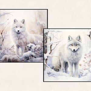 Arctic Fox Clipart Watercolor Illustration Winter Clipart Commercial ...