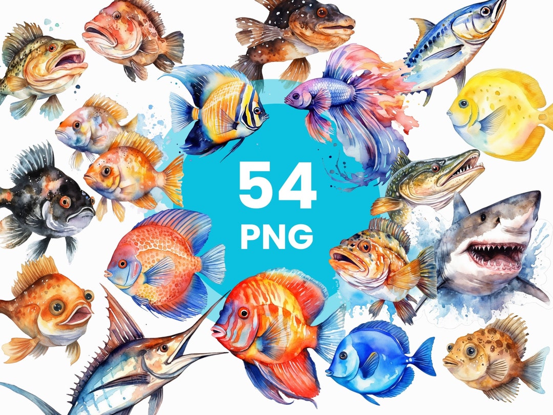 Watercolor Fish Clipart: Colorful Mega Bundle (54 PNG Files) - Etsy
