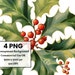 Holly Clipart Bundle Commercial Use Watercolor Holly Leaf Digital ...