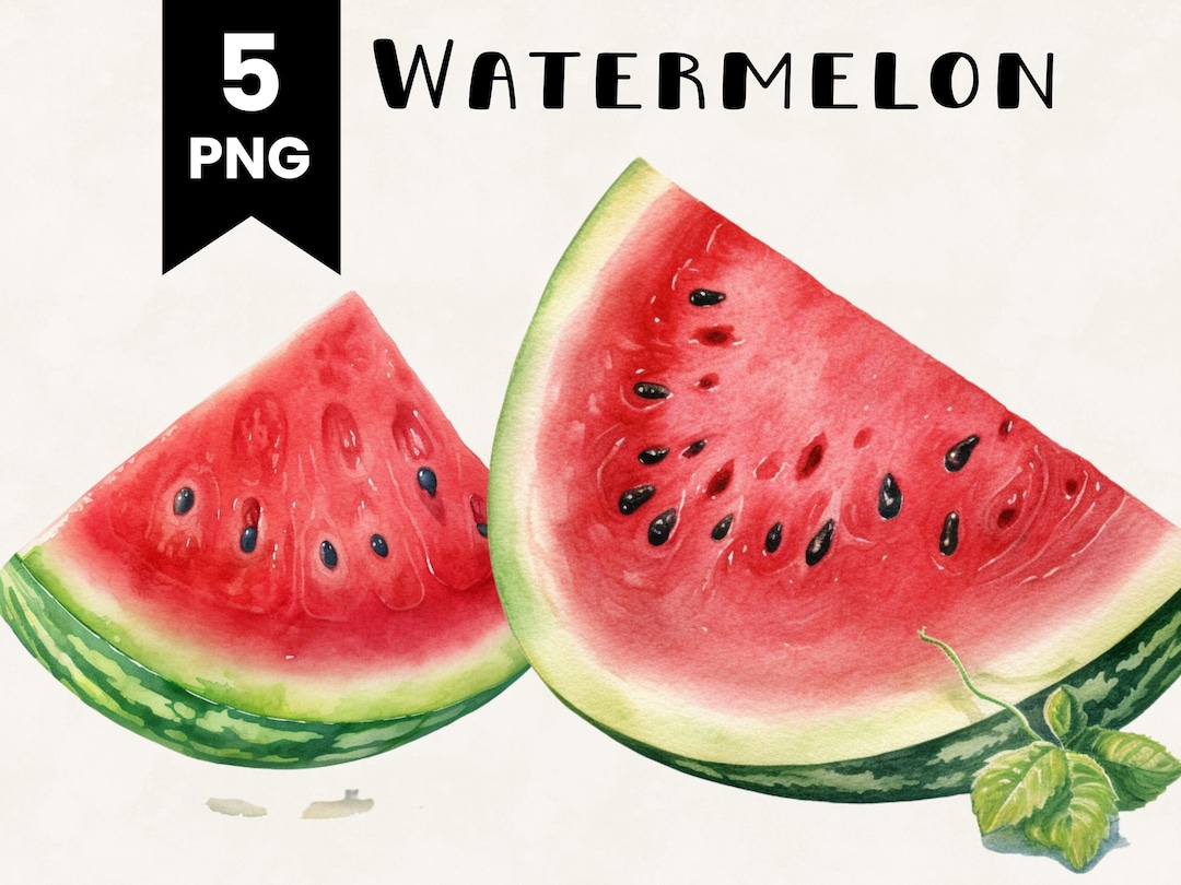 Watermelon Slice Clipart Bundle Commercial Use Watercolor Watermelon ...