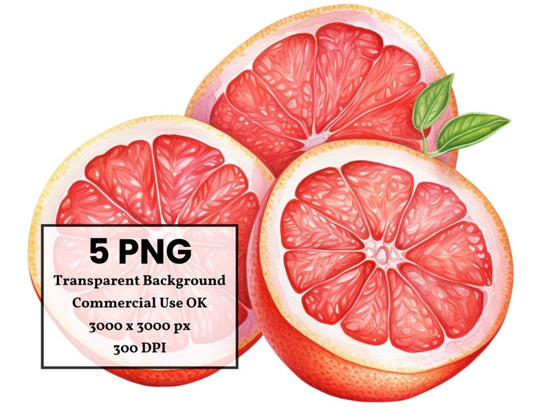 Watercolor Grapefruit Clipart Bundle: Fruit Digital Design (PNG Files ...