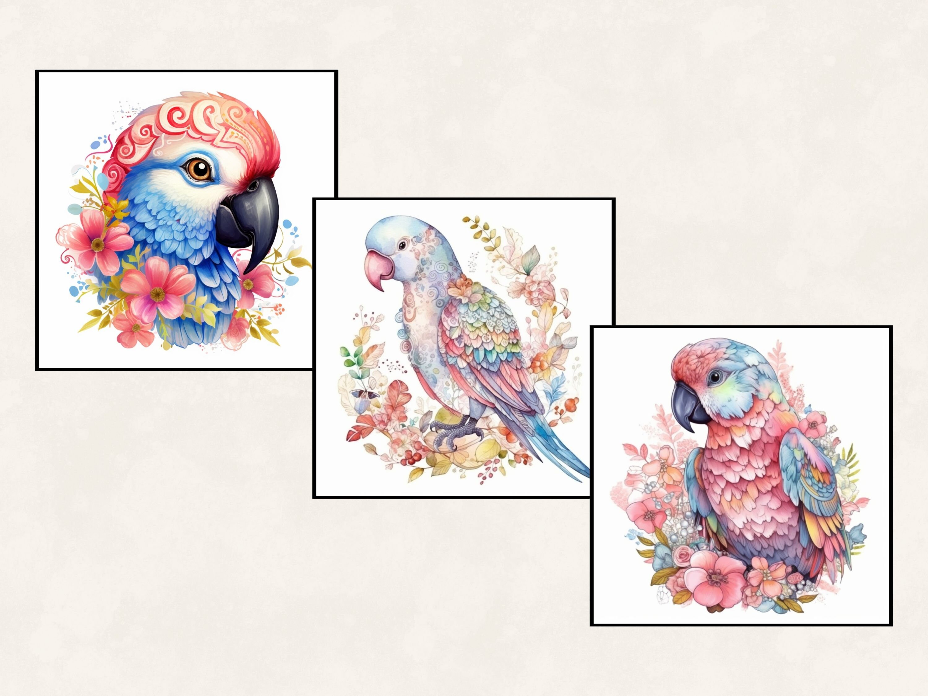 Parrot Clipart Watercolor Illustration Commercial Use Digital - Etsy