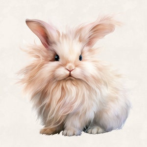 Angora Rabbit Watercolor Clipart: Commercial Use Digital Design ...