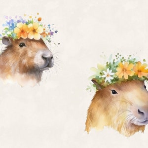 Capybara Clipart Bundle Commercial Use Watercolor Digital Design Bundle ...