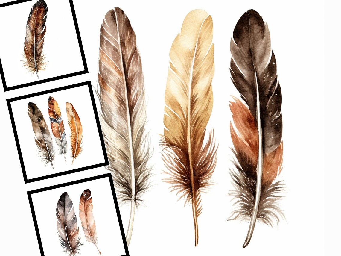 Boho Feathers Watercolor Clipart: Commercial Use Digital Bundle (JPG ...